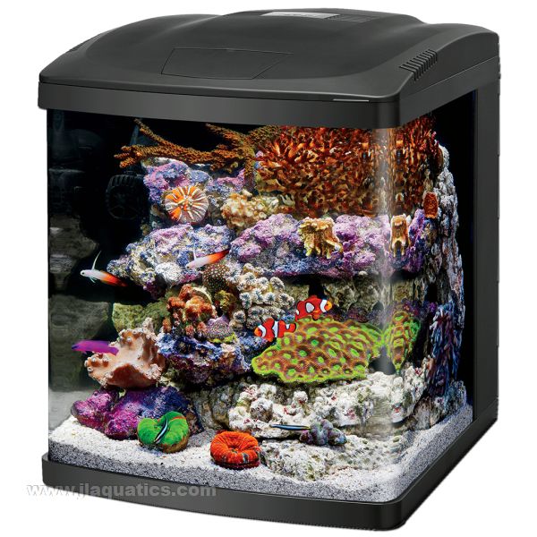 Coralife LED BioCube (16 Gallon) | JLAquatics Canada – Shopping - J&L ...