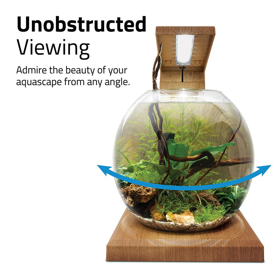 Fluval LIV Microscaping Aquarium Kit - Teak – Shopping - J&L Aquatics
