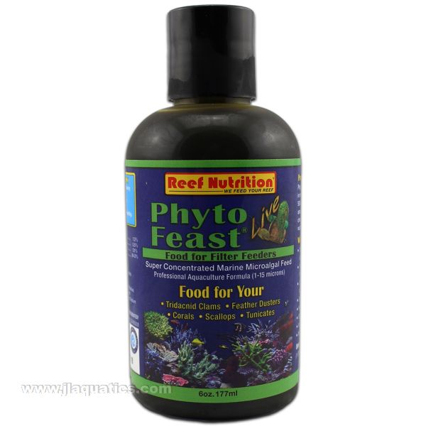 Reef Nutrition Phyto-Feast Live Phytoplankton - 6oz – Shopping - J&L ...